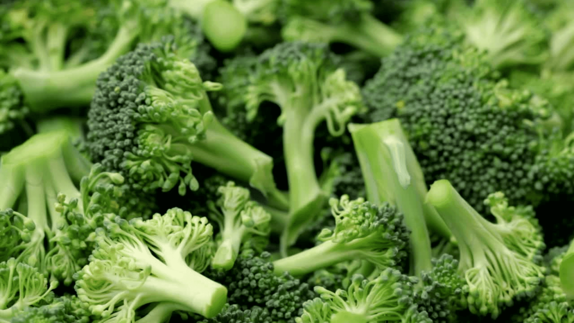 Want to know how to cook broccoli? – Cookd Ventures